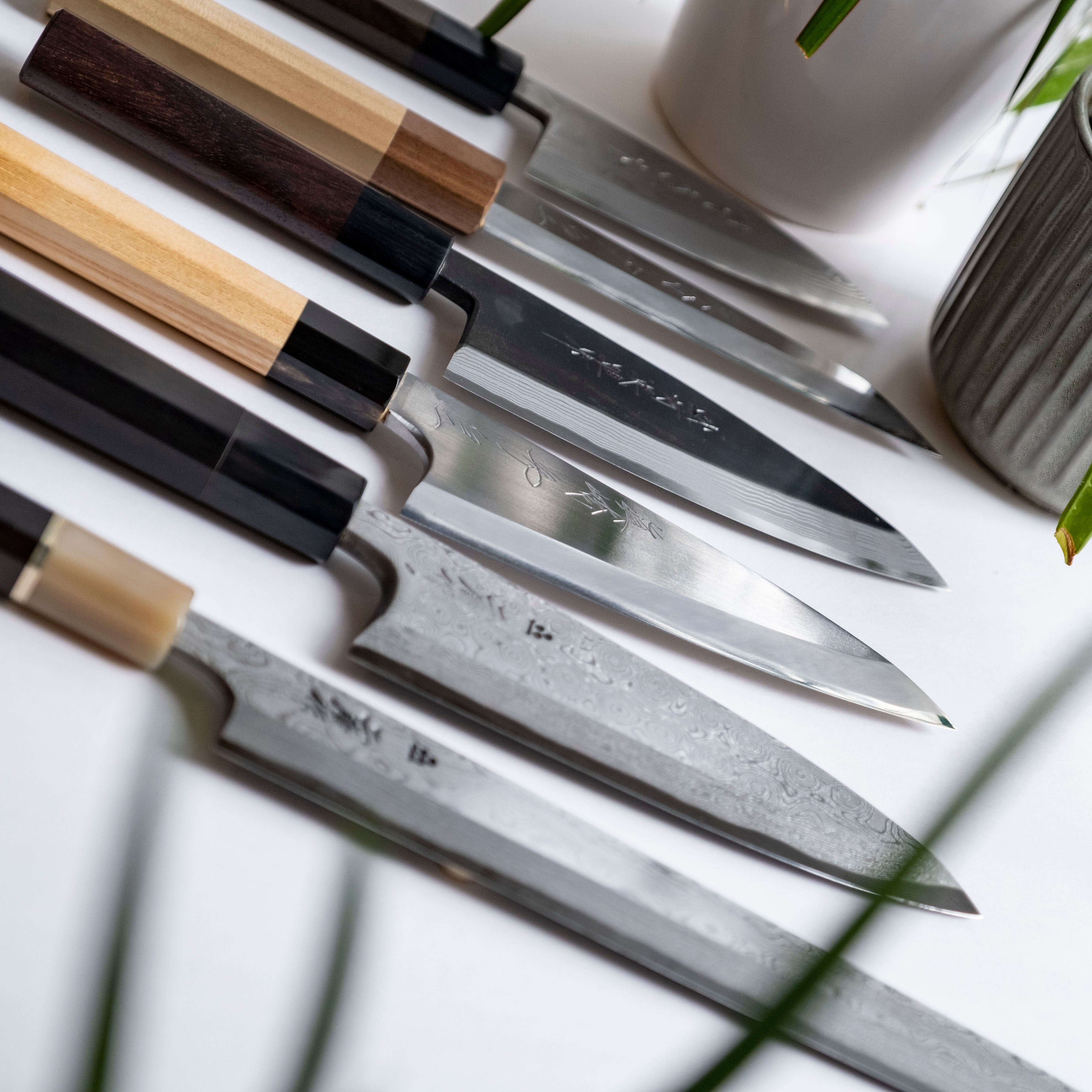 SINGLE BEVEL (FISH) – SHARP Knife Shop